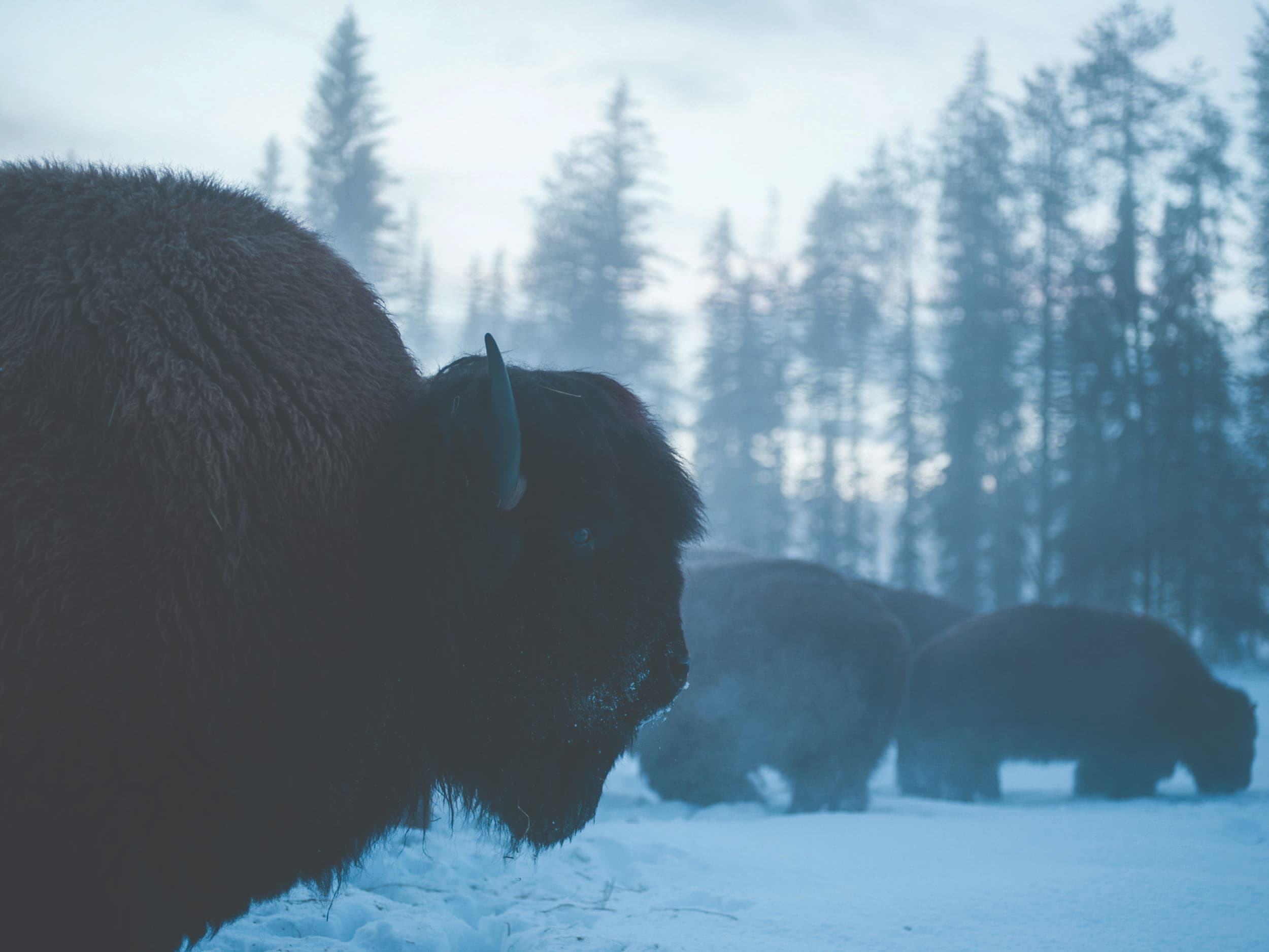 2023/24 World Tour Films | Banff Centre