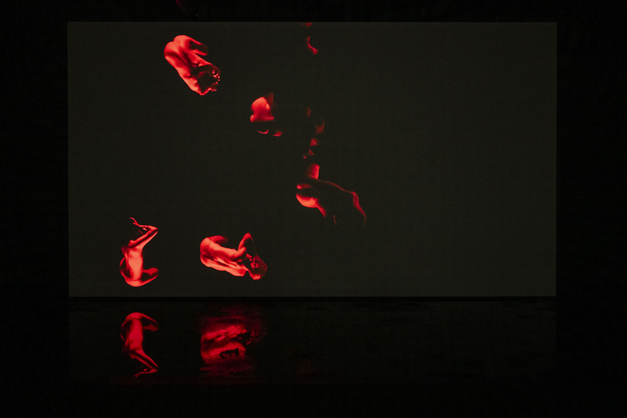 Cassils: Movement | Banff Centre for Arts and Creativity